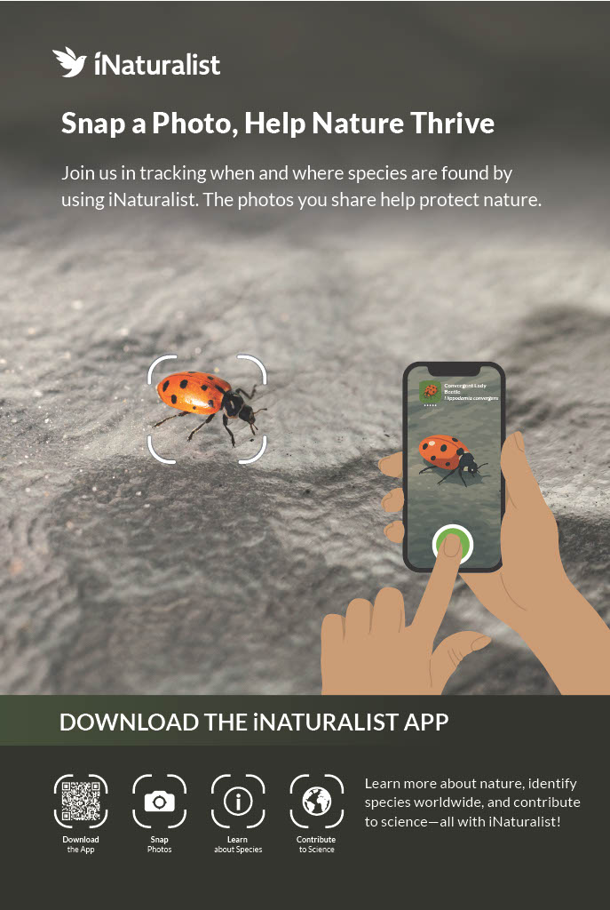 iNaturalist | Seeding Action
